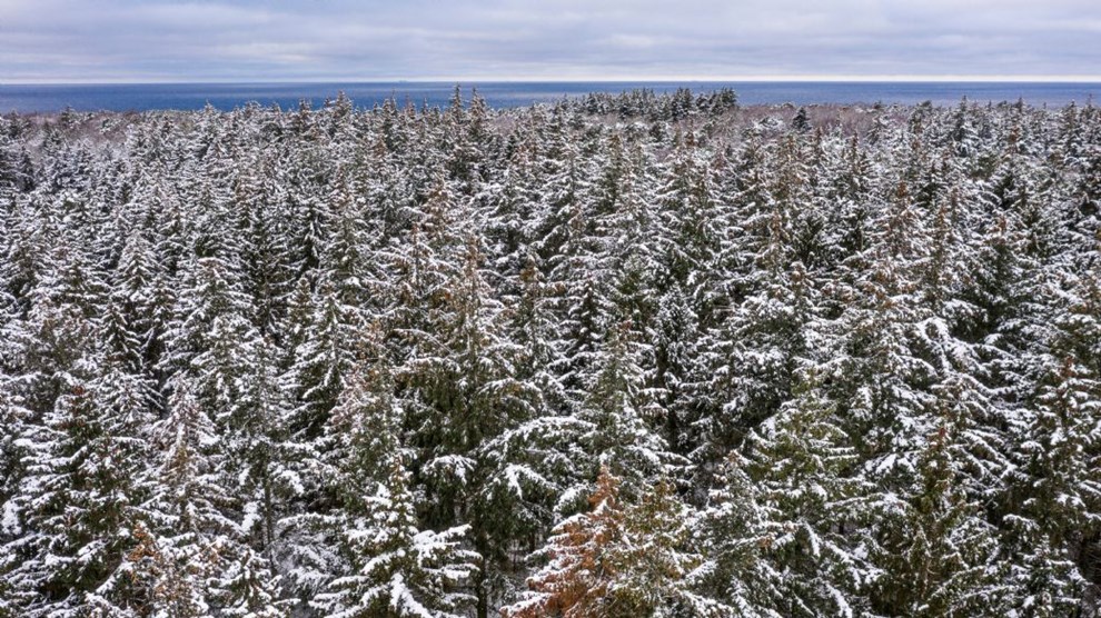 Sne til jul? DMI holder døren en smule på klem