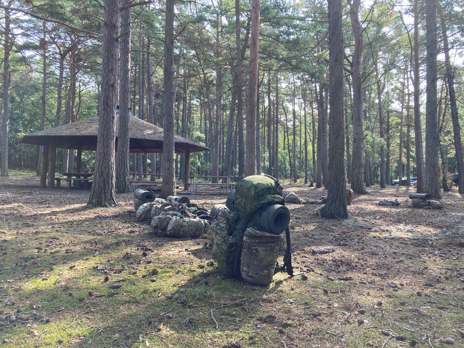 Derfor er der skyderi i Nordskoven